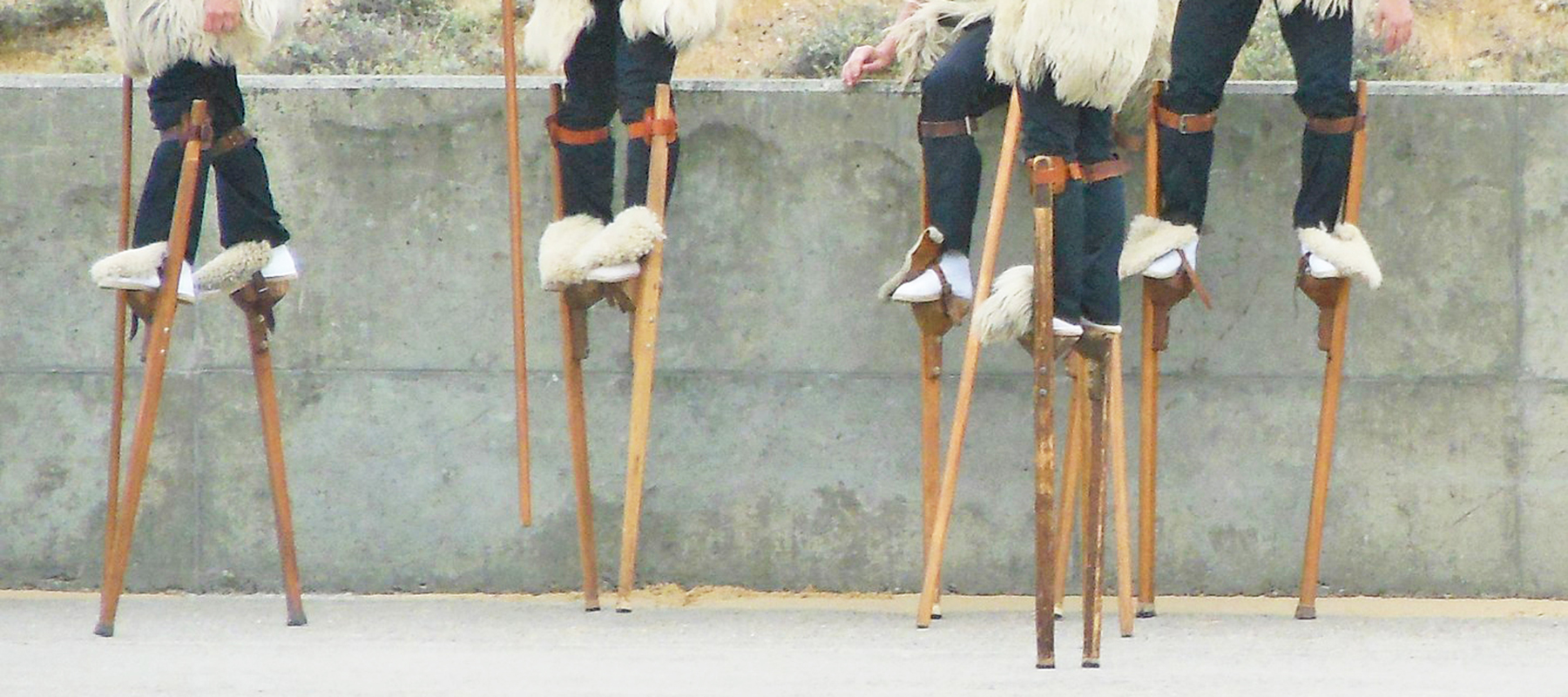 N°6315 : PROMOUVOIR LA PRATIQUE DES ECHASSES | Budget Participatif ...